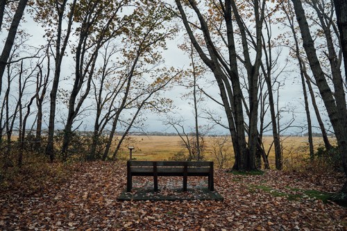 The 18 Best State Parks In New Jersey To Visit ASAP