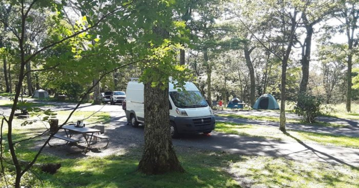Lewis Mountain Campground: No Reservations Required