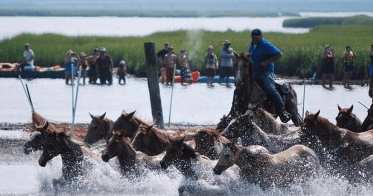 Check Out These 7 Bucket-List Adventures In Virginia