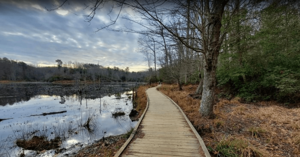 Calvert Cliffs State Park: Maryland Winter Travel Destination