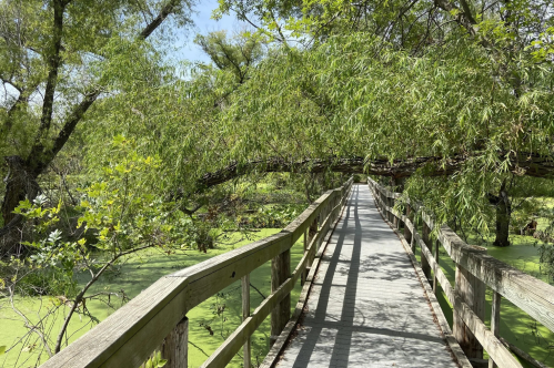This 5-Mile Float Trip In Kansas Shows You Most Beautiful Stretch of River