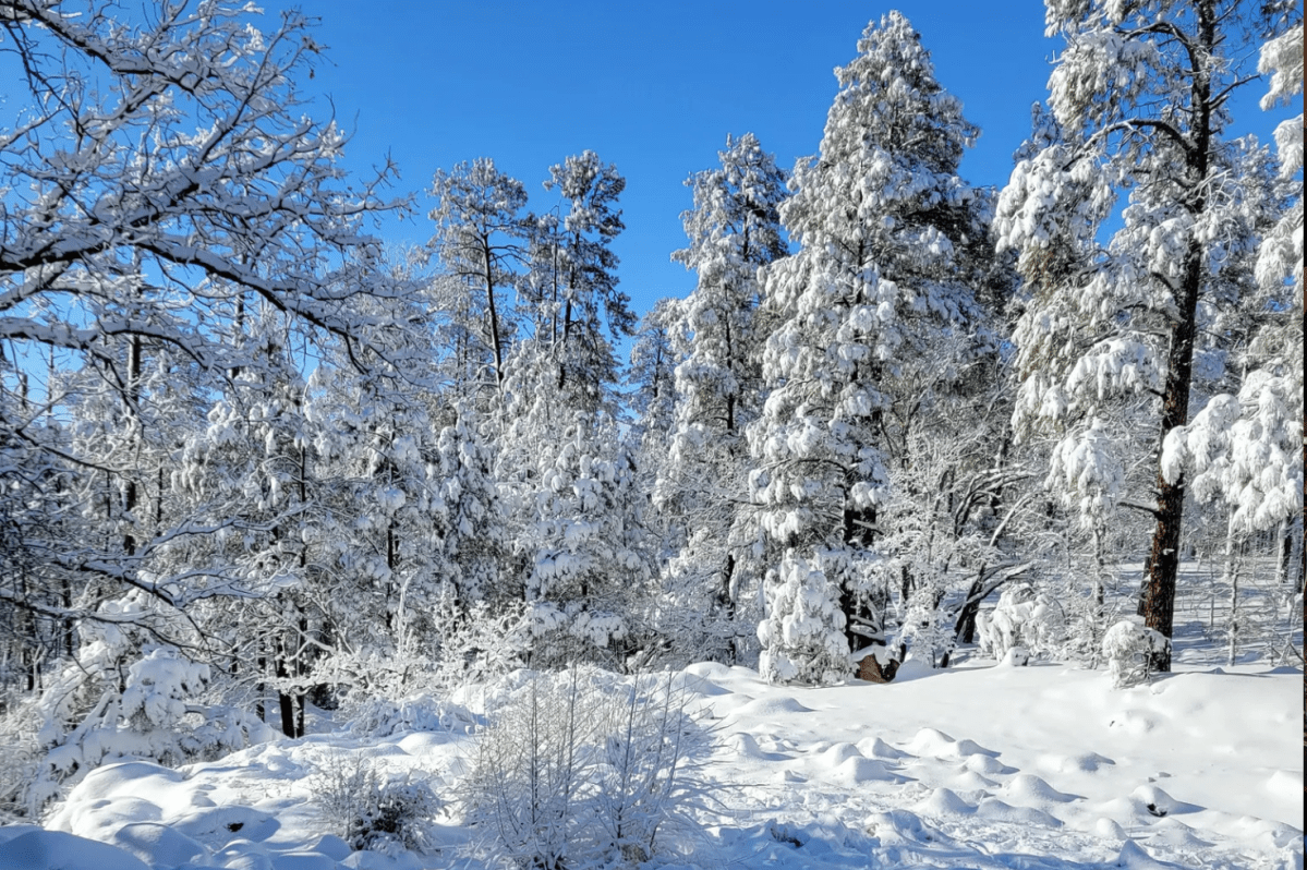 Best Winter Towns in Arizona: Pinetop-Lakeside, Arizona