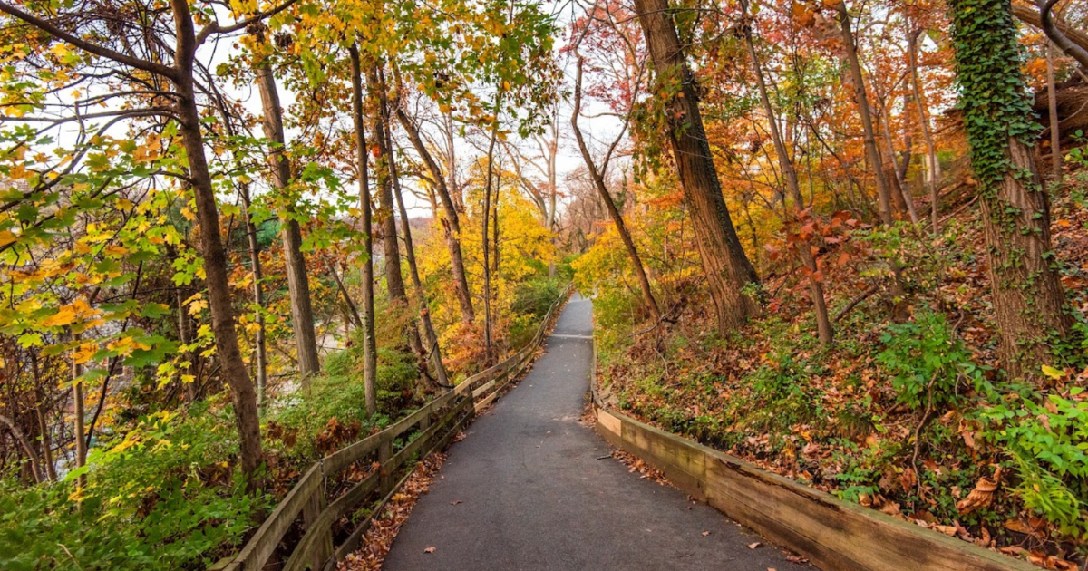 The 15 Best State Parks In Delaware To Visit ASAP