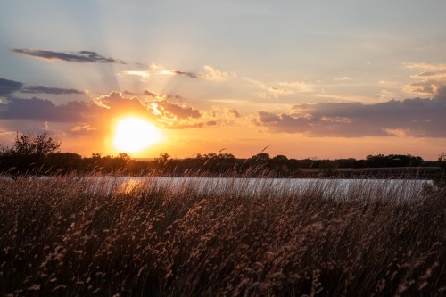 Your Ultimate Guide To State Parks In Oklahoma