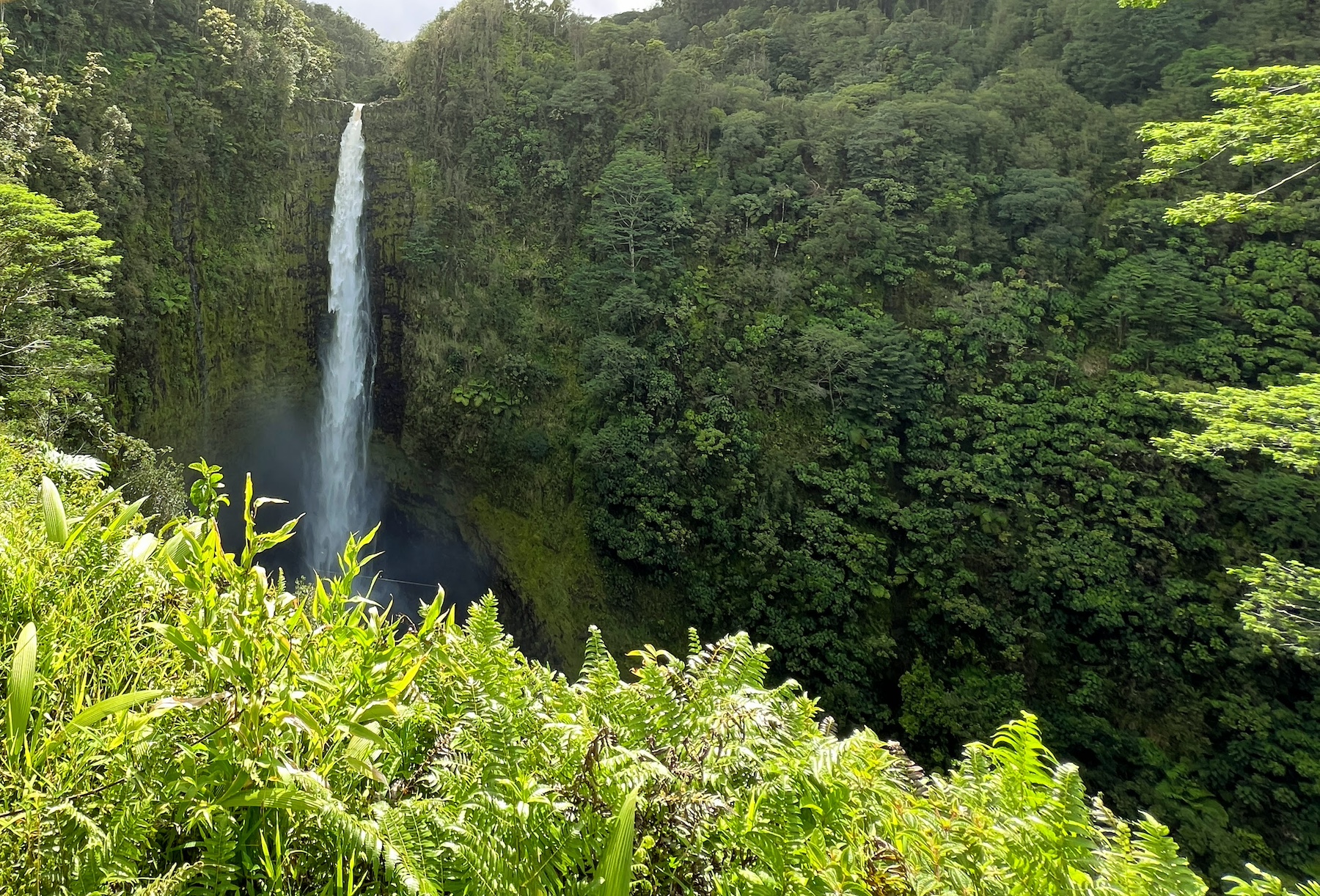 The 15 Best State Parks In Hawaii To Visit ASAP