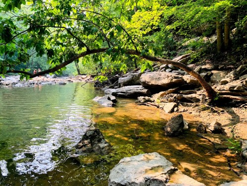 The 16 Best State Parks In Indiana To Visit ASAP