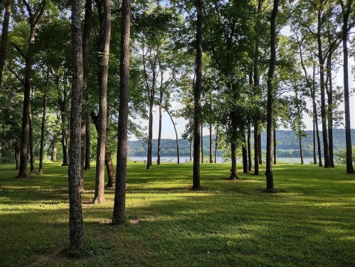 The 16 Best State Parks In Indiana To Visit ASAP