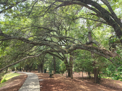 The 15 Best State Parks In South Carolina To Visit ASAP