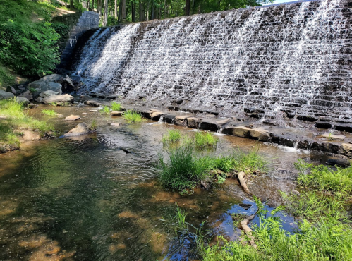The 15 Best State Parks In South Carolina To Visit ASAP