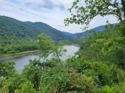 The 15 Best State Parks In West Virginia To Visit ASAP