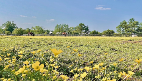 The 17 Best State Parks In Kentucky To Visit ASAP