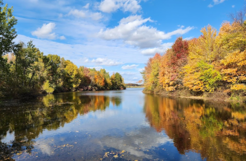 The 15 Best State Parks In Michigan