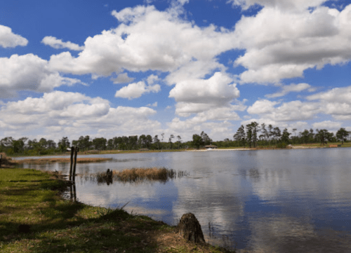 7 Attractions In South Georgia That Are Worth The Drive
