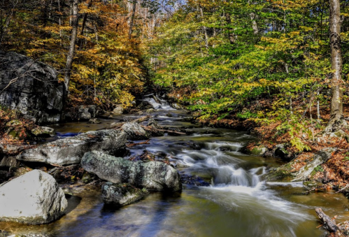 The 16 Best State Parks In Connecticut To Visit ASAP