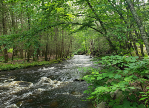 The 16 Best State Parks In Connecticut To Visit ASAP