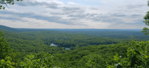 The 15 Best State Parks In Massachusetts To Visit ASAP