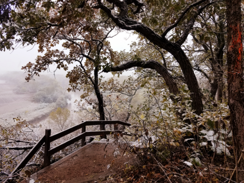 The 18 Best State Parks In Iowa To Visit ASAP
