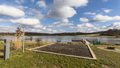 Camp Bullfrog Lake: Year-Round Camping In Willow Springs, IL