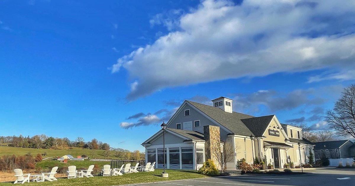 Forge & Vine: Fantastic Small-Town Restaurant In Groton, MA