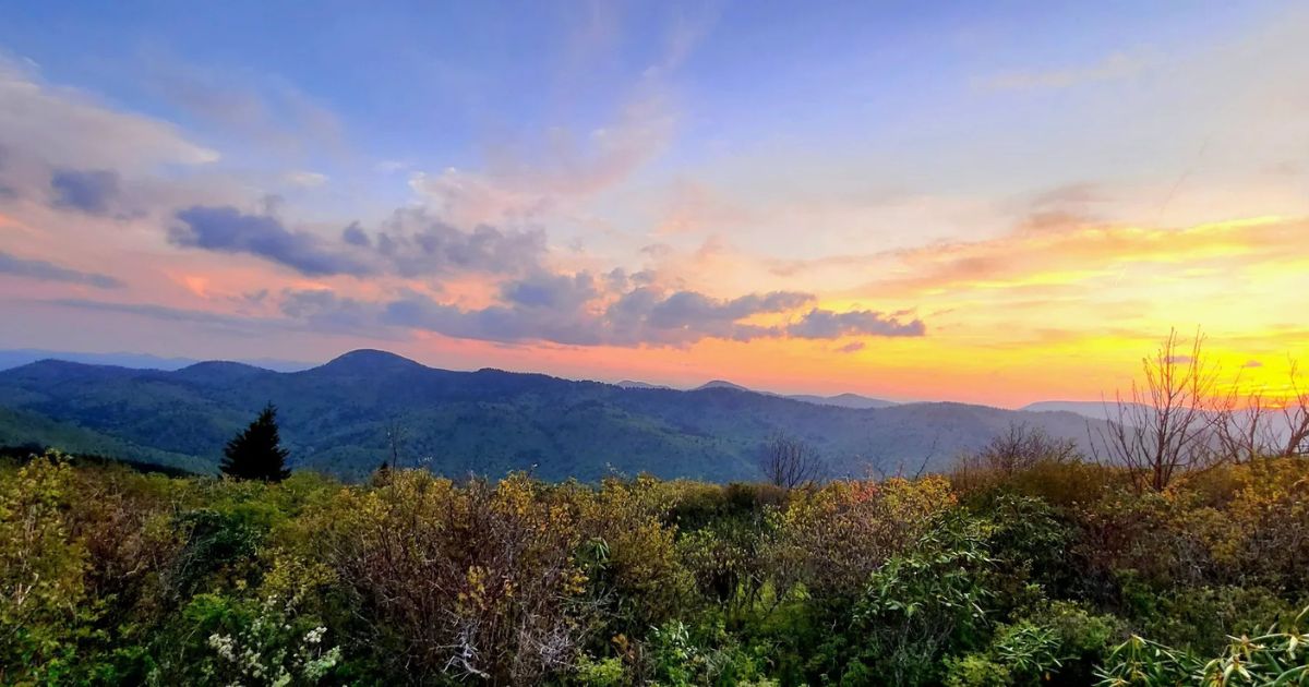 Hike An Iconic Trail In North Carolina: Sam Knob Trail In Canton