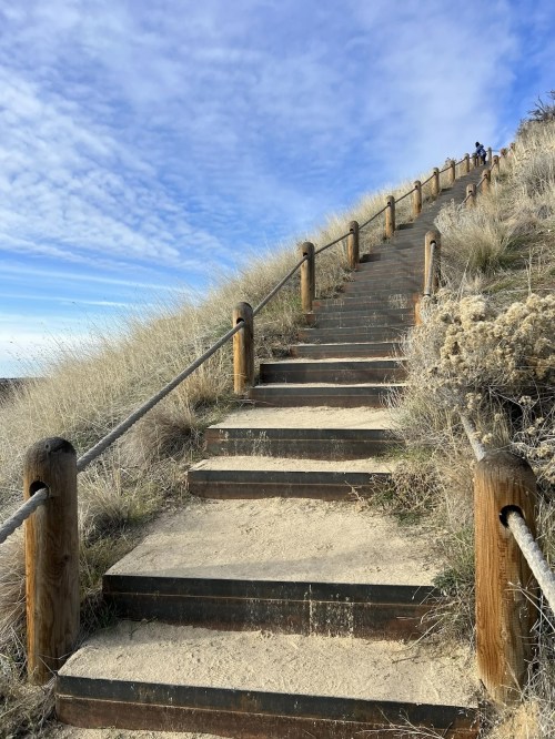 Camels Back Trails Loop in Boise, Idaho: Bucket-List-Worthy Hike