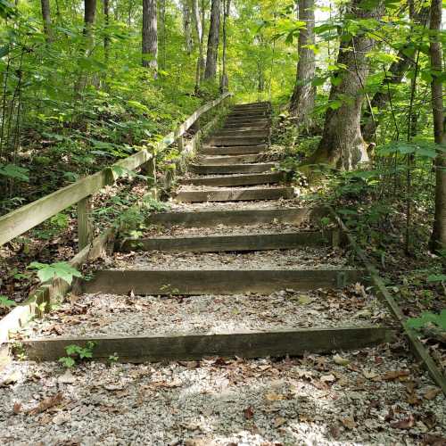 Fox Ridge State Park: State Park In Illinois With Overlook