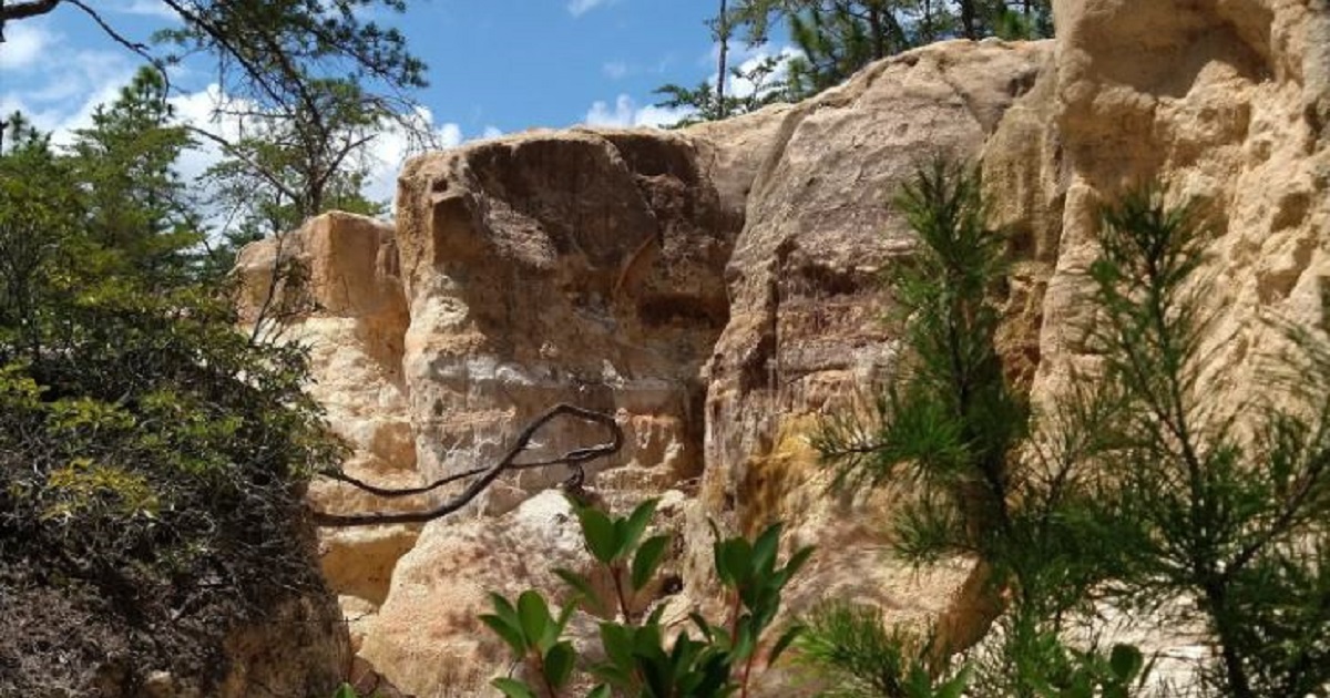 We Bet You Didn’t Know There Was A Miniature Grand Canyon In South Carolina