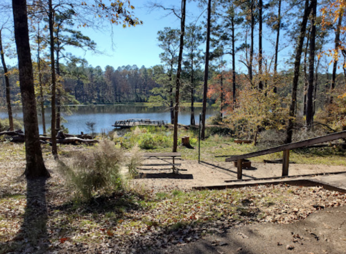 The 13 Best Things To Do In Louisiana In Spring
