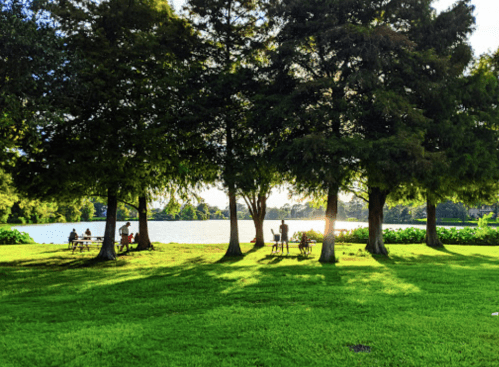 The 13 Best Things To Do In Louisiana In Spring