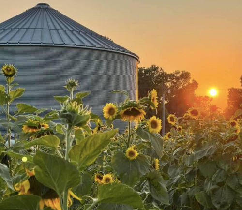 The 13 Best Things To Do In Louisiana In Spring