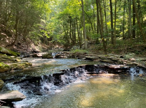 Hidden Gem Waterfall In Johnstown, Pennsylvania