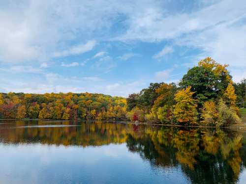 Kean's Skyland Campus Has A Unique Canopy Walk In New Jersey