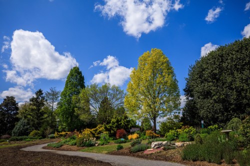The 12 Best Things To Do In Tennessee In Spring