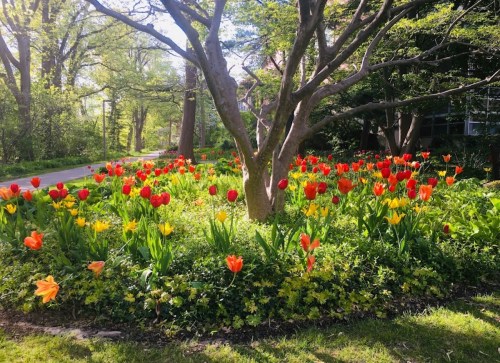 The 12 Best Things To Do In Michigan In Spring