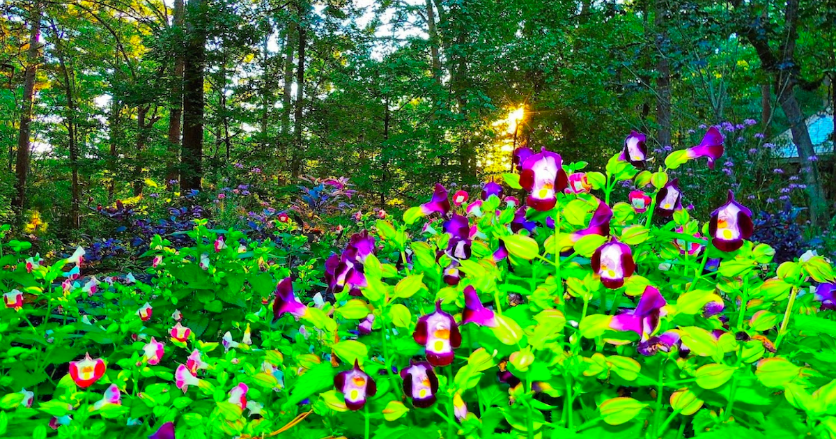 The 12 Best Things To Do In Mississippi In Spring