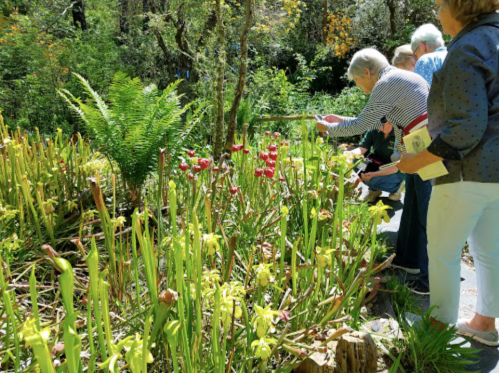 The 13 Best Things To Do In Louisiana In Spring