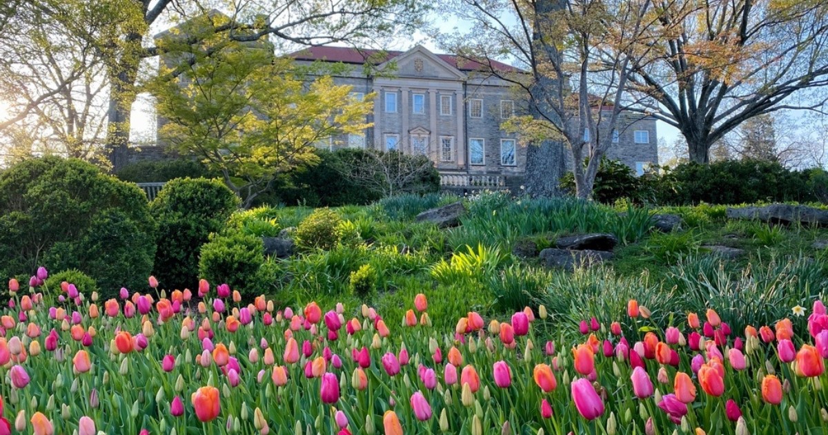 The 12 Best Things To Do In Tennessee In Spring