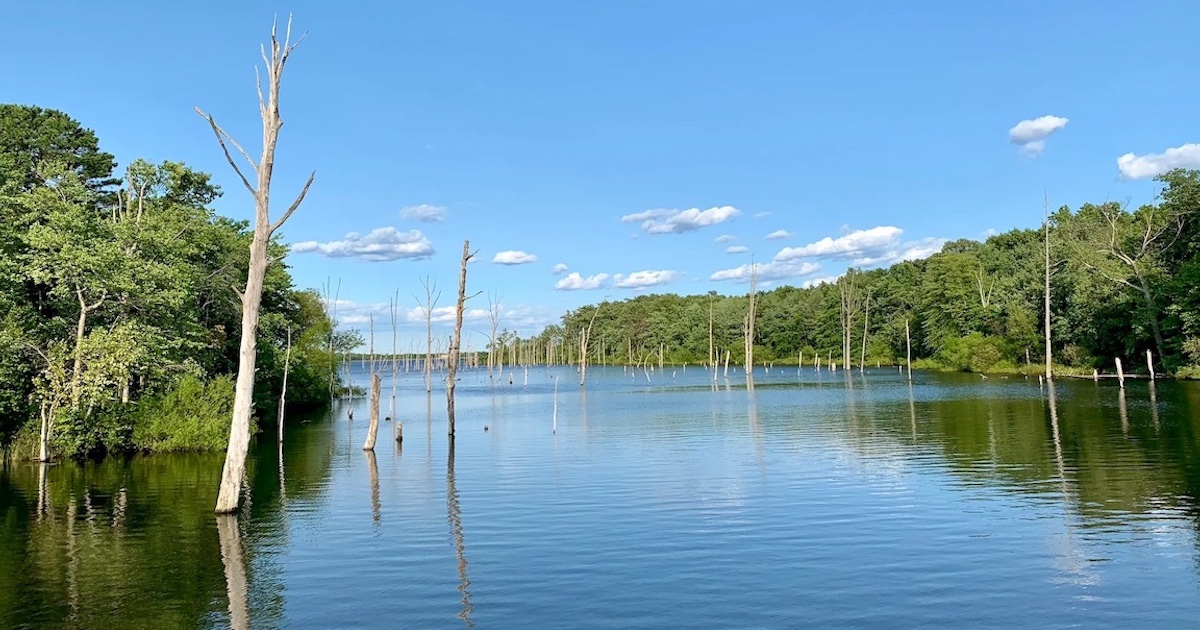Enjoy A Secluded Stroll On A Little-Known Path Along This Iconic New ...