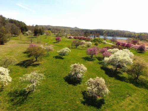 The 15 Best Things To Do In Kentucky In Spring