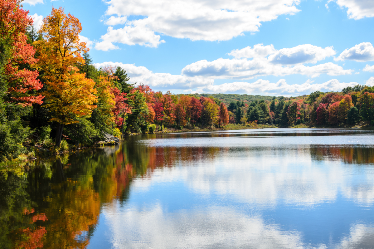 The 15 Best State Parks in Pennsylvania to Visit ASAP