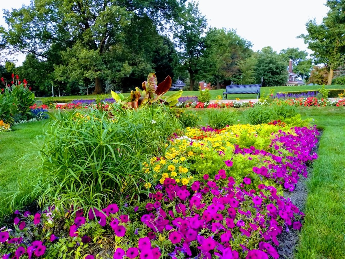 This Is One Of The Best Spring Flower Blooms In Indiana