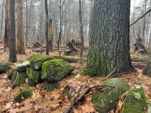 Racebrook Tract Has A Great Easy Hike In Orange, CT