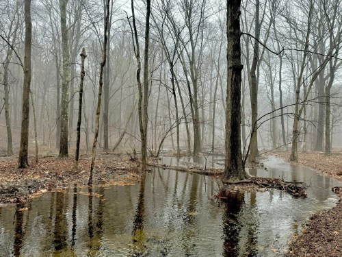 Racebrook Tract Has A Great Easy Hike In Orange, CT