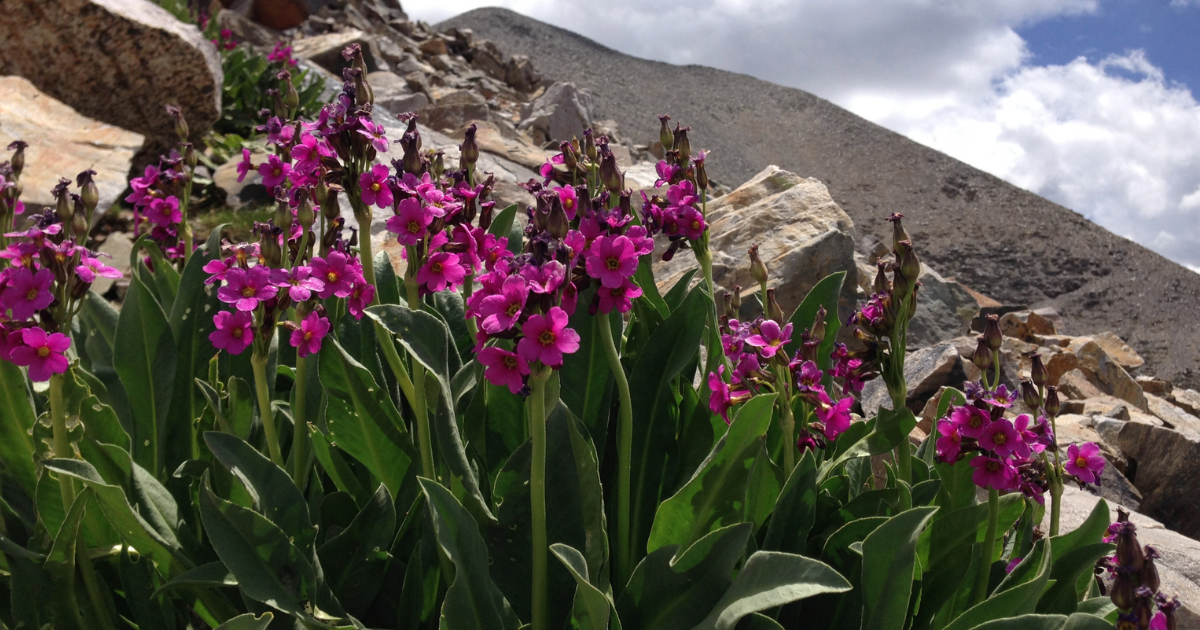 The 12 Best Things To Do In Nevada In Spring