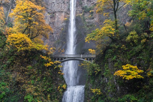 10 Top Tourist Attractions In Oregon