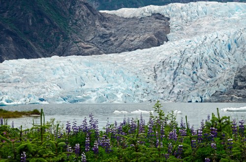 The 15 Best Things To Do In Alaska In Spring