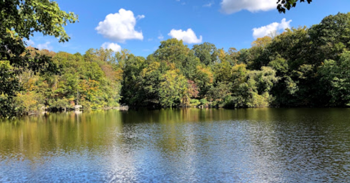 Montgomery Pinetum: Best Park Near Greenwich, CT