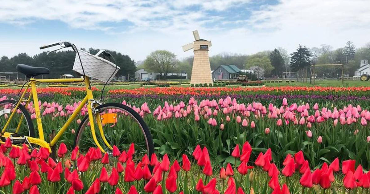 The 12 Best Things To Do In New York In Spring