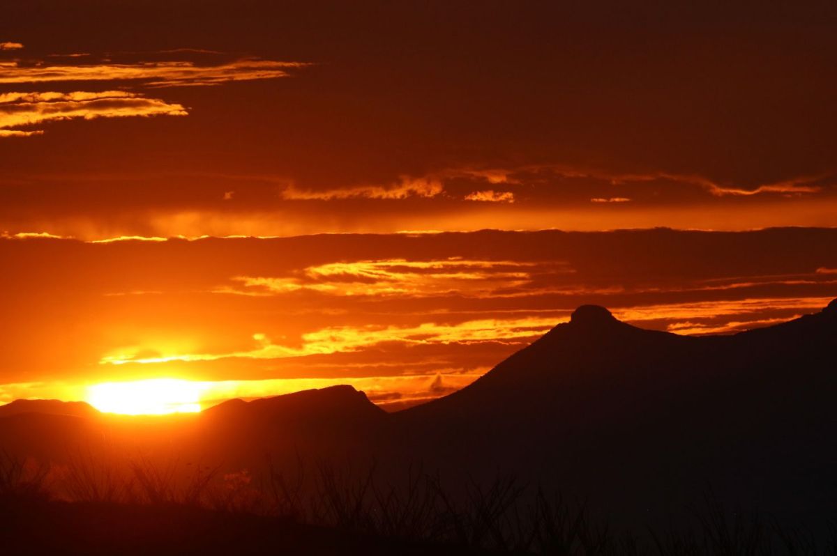 Douglas, Arizona: The Perfect Day Trip Destination