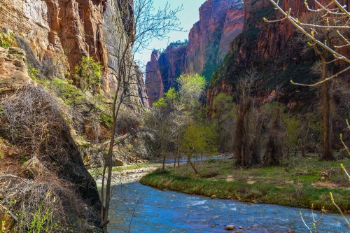 The 15 Best Things To Do In Utah In Spring